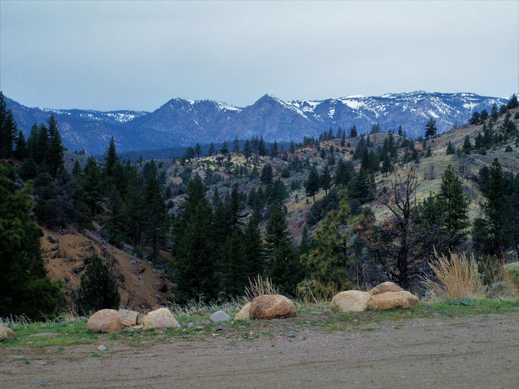 Upper East Fork Carson River Rafting - Best Rafting and Kayaking ...