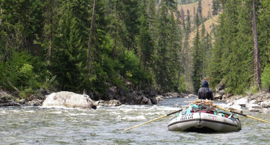 Whitewater Guide to Selway River Rafting and Kayaking Trips